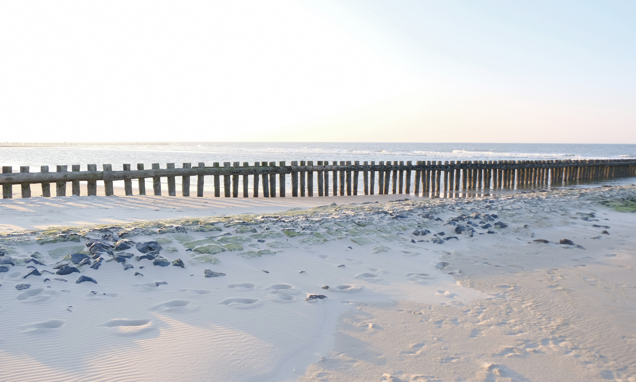 Coastland - Raus ans Meer!